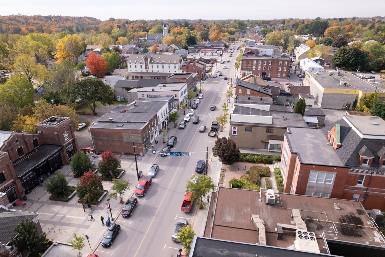 Picton: where lavender blooms, beaches beckon and the wine flows ...
