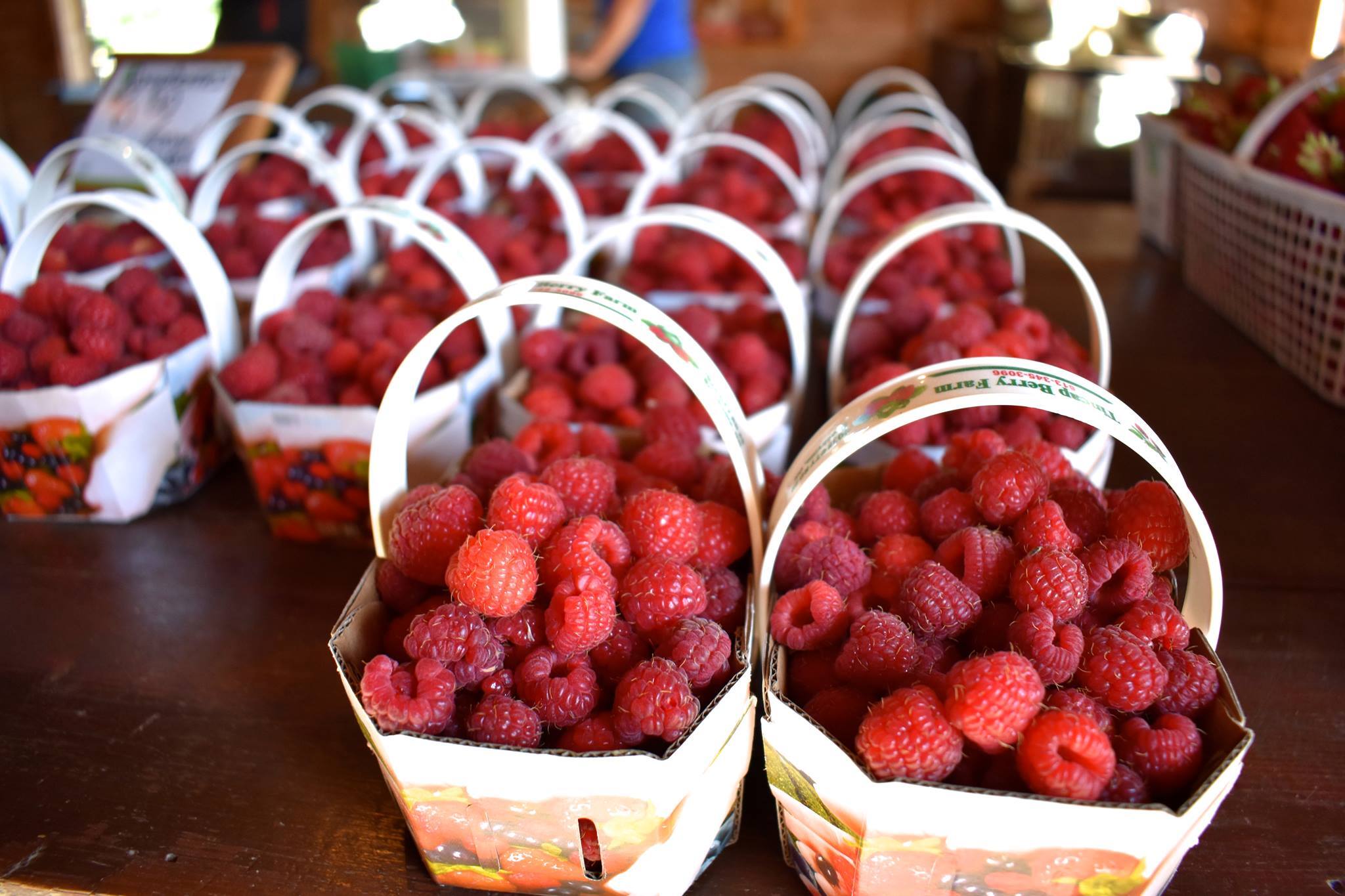Tincap Berry Farm: Growing Food For The Local Community | South Eastern ...