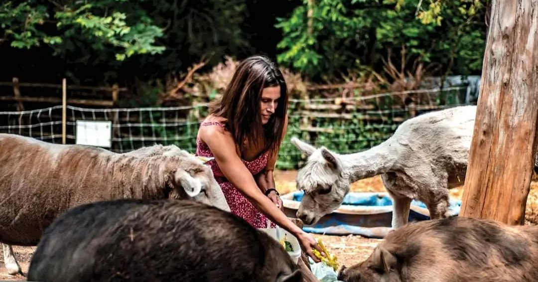 Happy Tales Animal Sanctuary: People Helping Animals Helping People ...