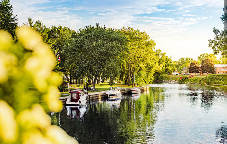 Lennox & Addington County: Shoreline Route | South Eastern Ontario